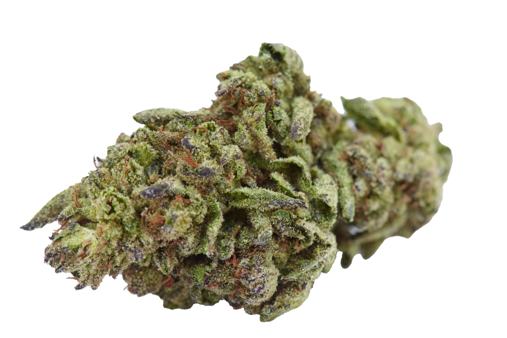 THC-A 1lb FLOWER - Hemp Wellness